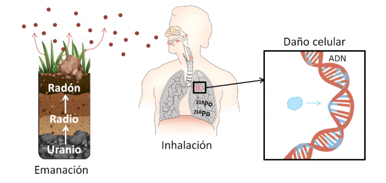 Cómo afecta a la salud el radón y cómo prevenir sus efectos - Asepeyo